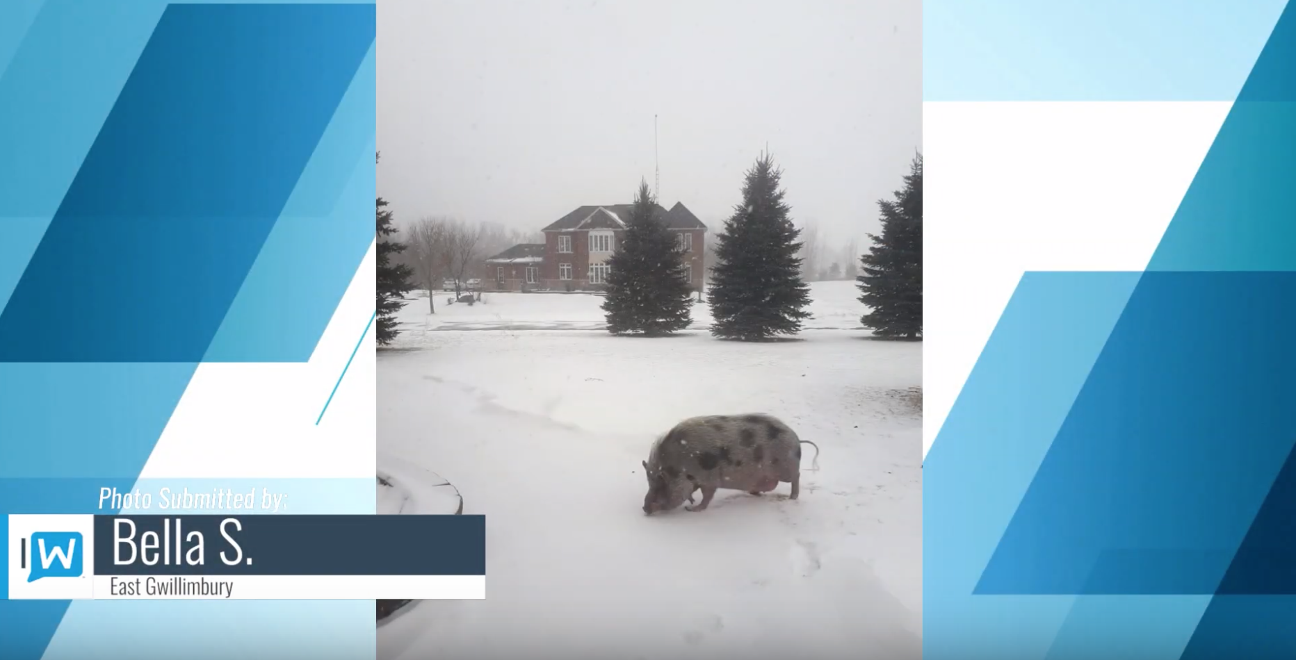 BLIZZARD UPDATE: Dangerous Blizzard Conditions To Continue Tuesday ...